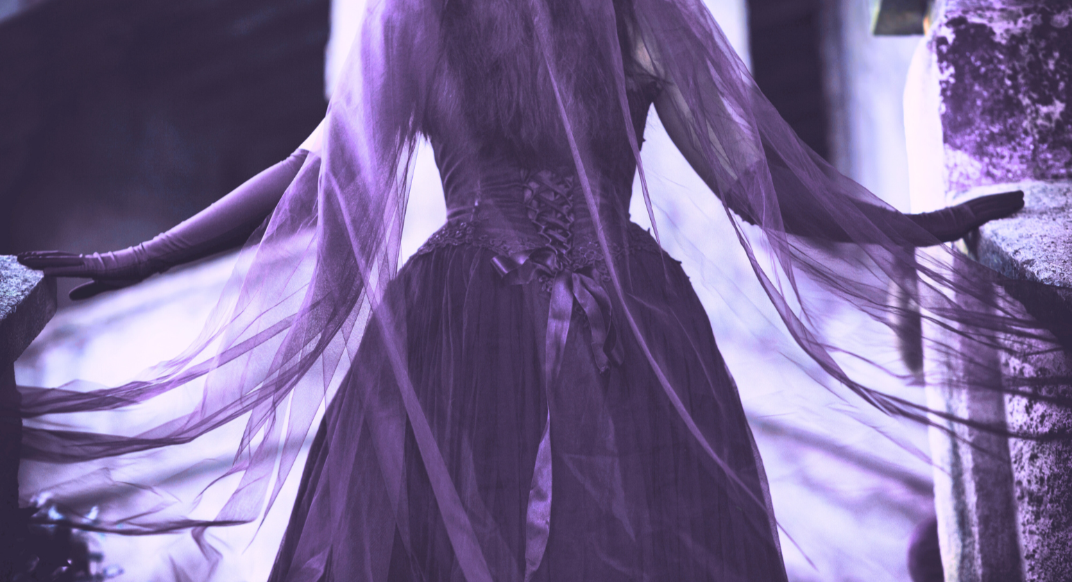 Wren Faire – Jennifer Schaefer